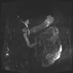 Clinical cases – GastroCloud